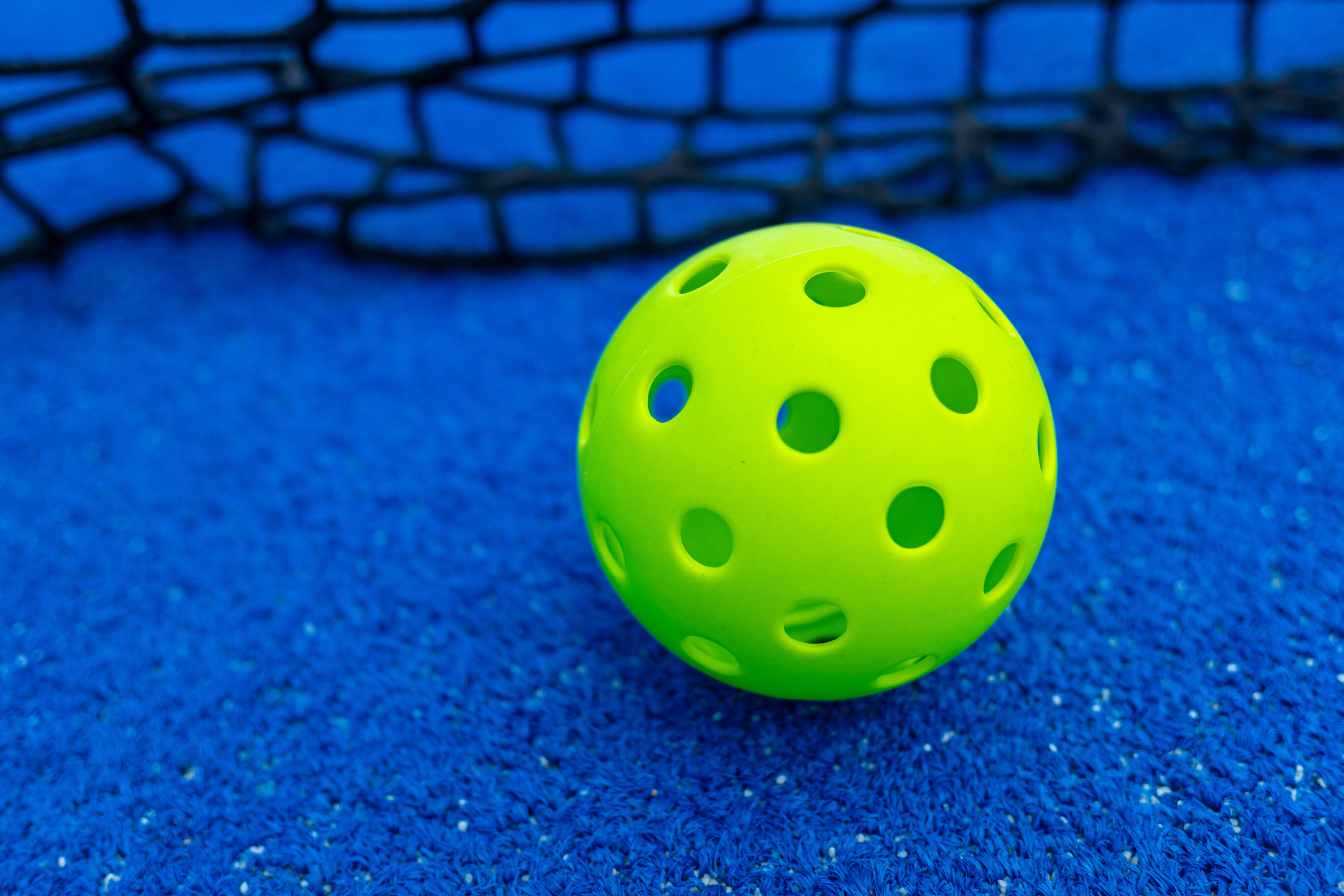 Pickleball Council | SFIA